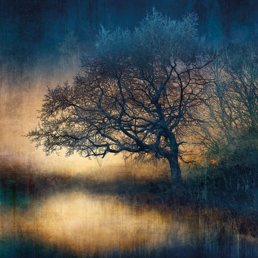 New Work - London Contemporary Art